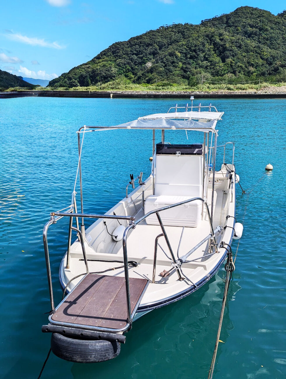 Amberfish｜奄美大島の遊漁船・釣り体験